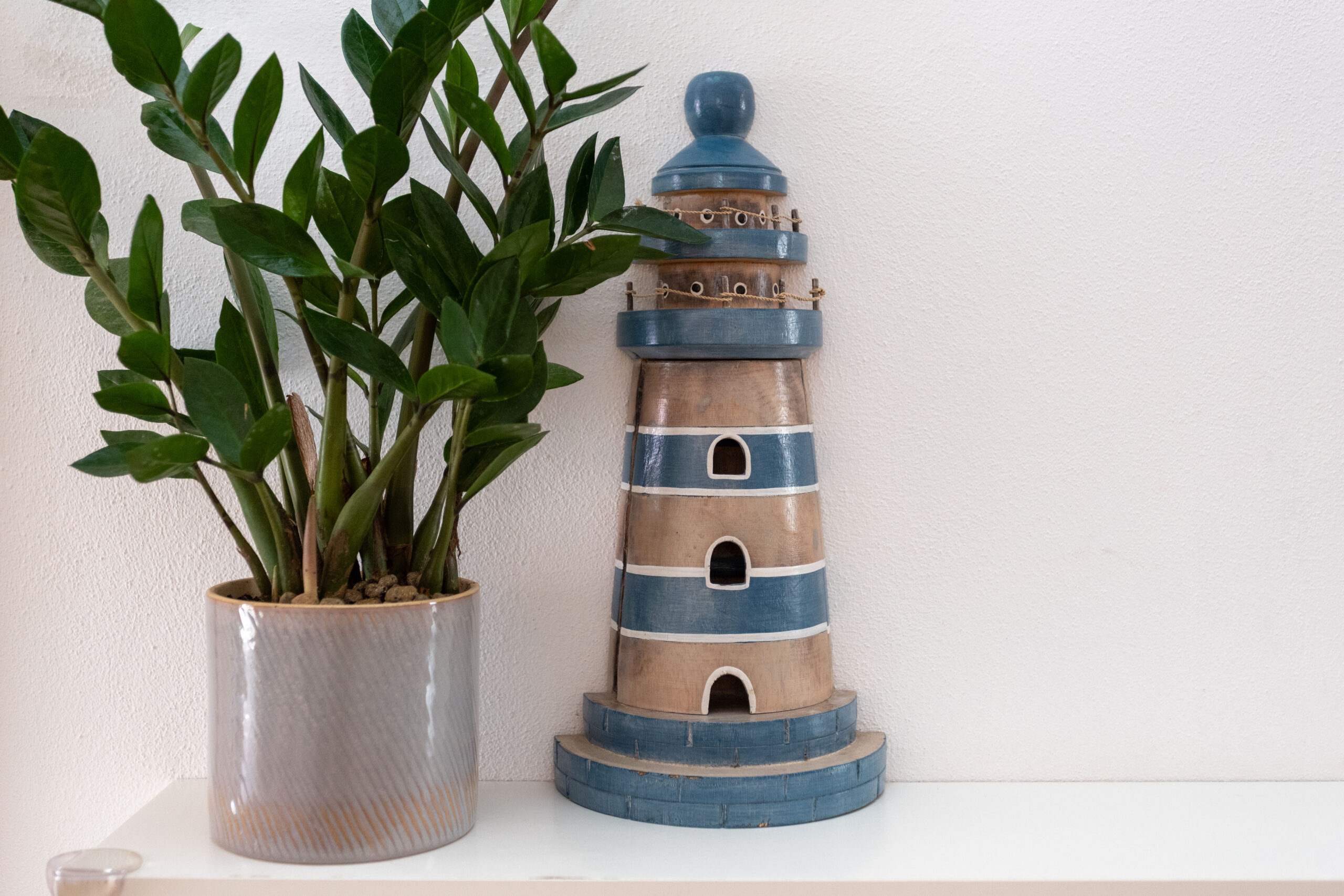 OO Studio - Octopus Oasis